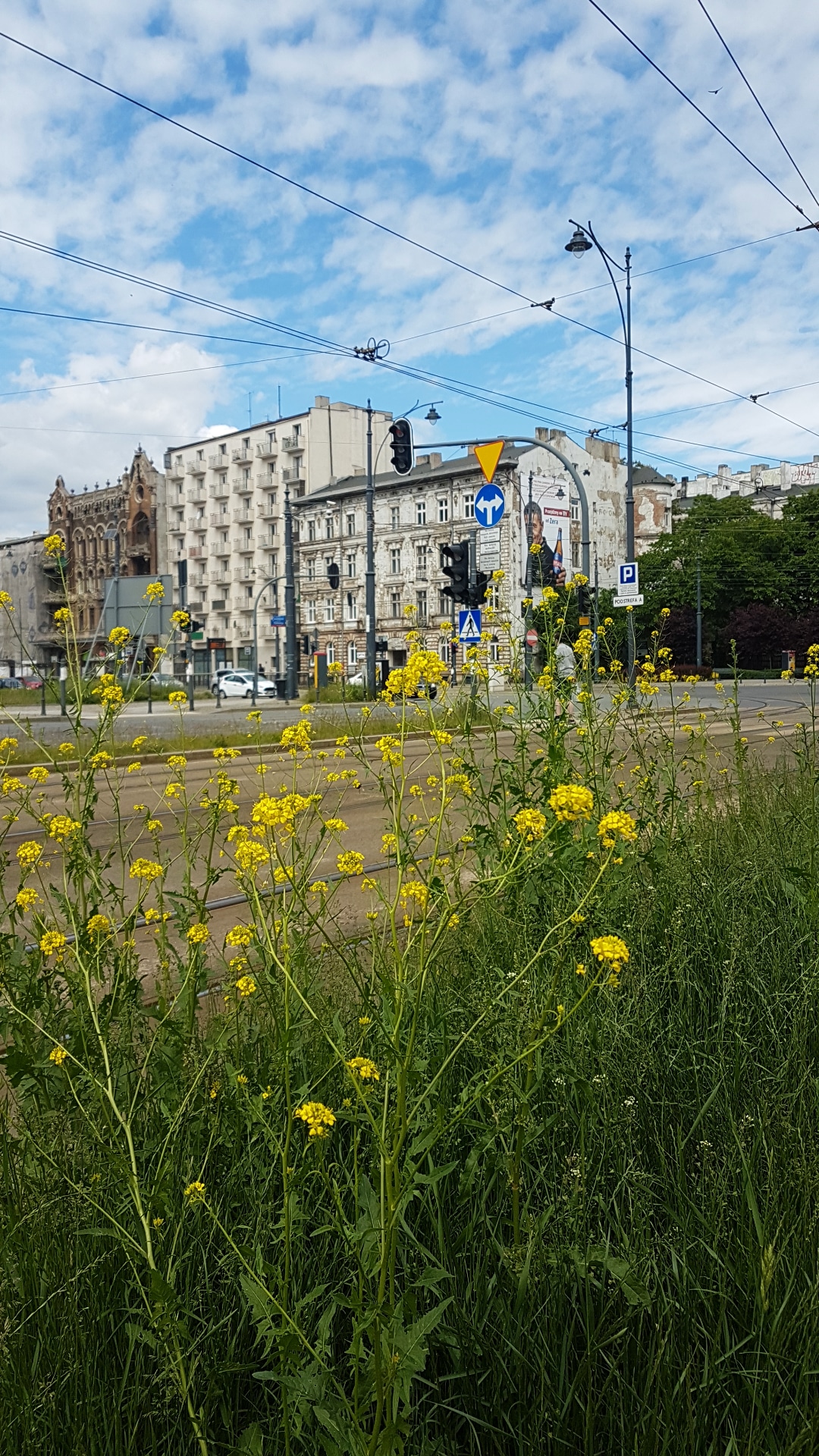 Let’s travel to Łódź! – Schuman Volunteers